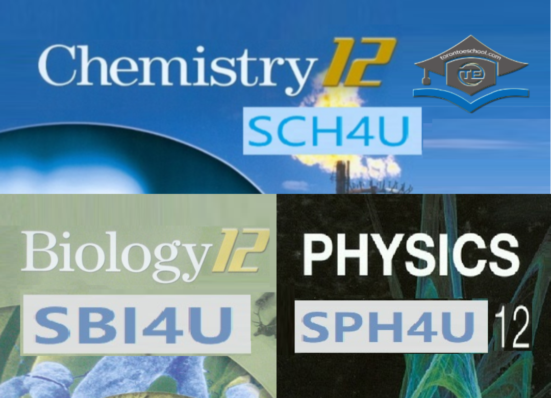 Welcome Back to School 2024-2025 - Toronto eLearning School - Canada's ...