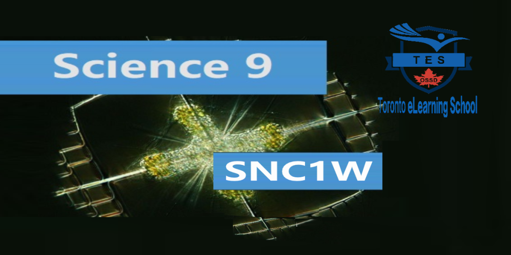SNC1W Science Grade 9 - Toronto eLearning School - Canada's Premier ...